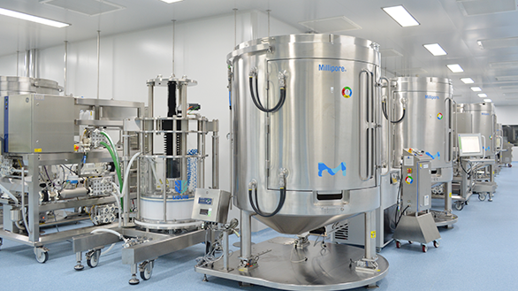 Biologics Manaufacturing-Alphamab Oncology