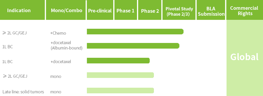KN026-Alphamab Oncology