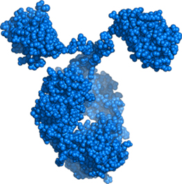 KN035-Alphamab Oncology